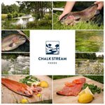 The Caterer - Products & equipment - Chalk Stream Foods champions trout
