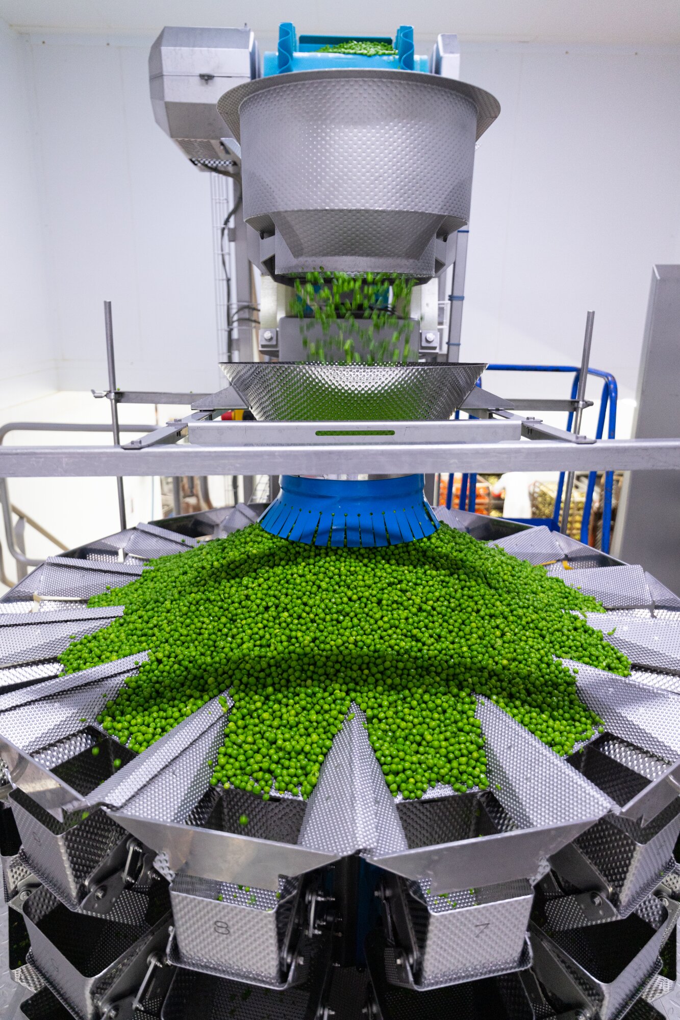 Freshcut Foods receives investment from private equity firm Flywheel - News