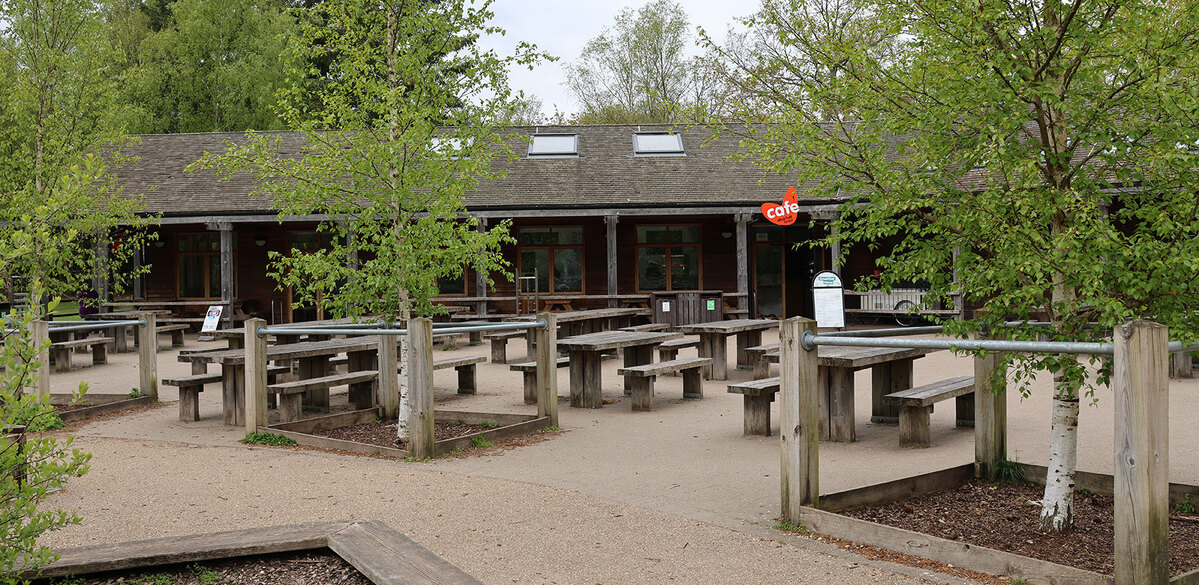 Tender: café at Alice Holt Forest Centre, South Downs National Park ...