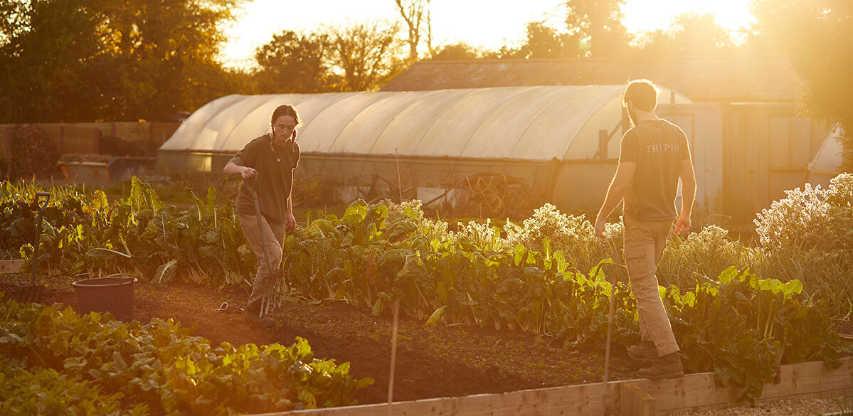 How sustainability can attract and retain talent - InDepth