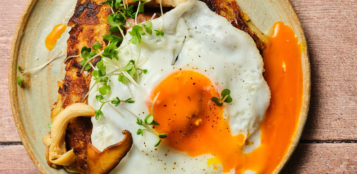 St. Ewe Free Range Eggs announces B Corp accreditation - InDepth