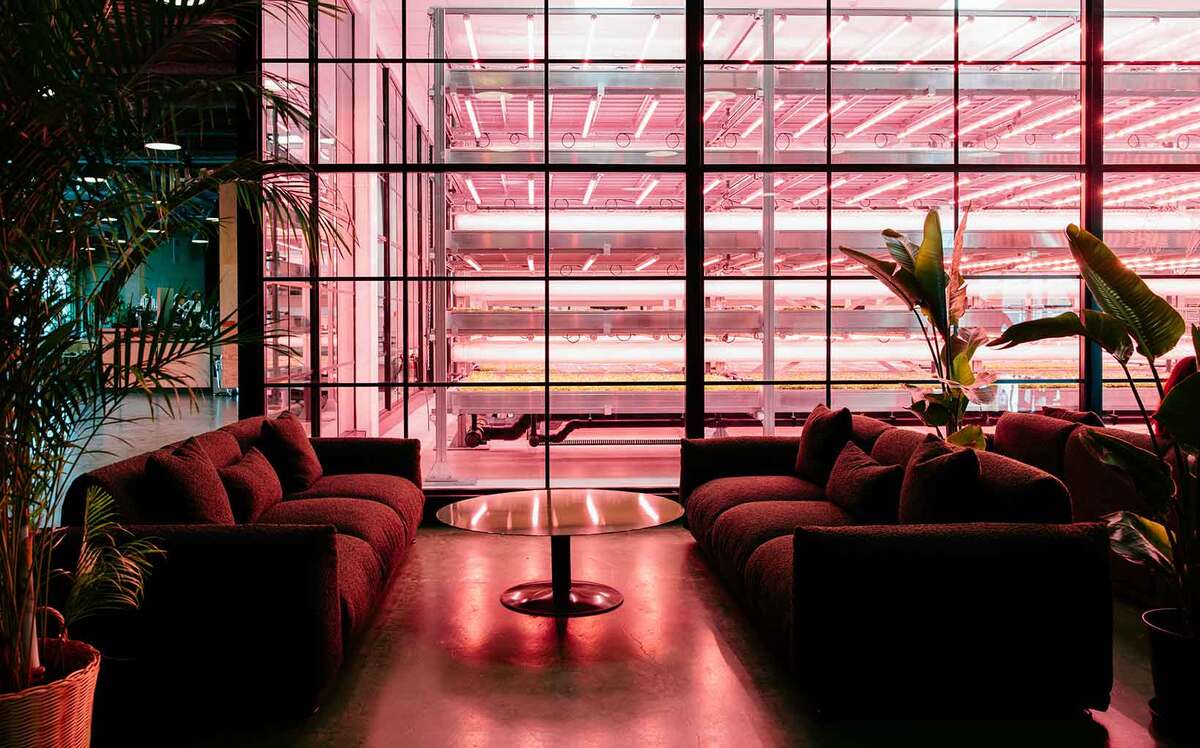 The only way is up: the chefs growing their own with vertical farming ...