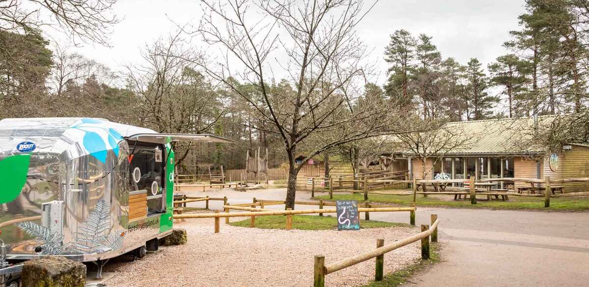 Tender: Haldon Forest Park Café and two F&B concessions – Forestry ...