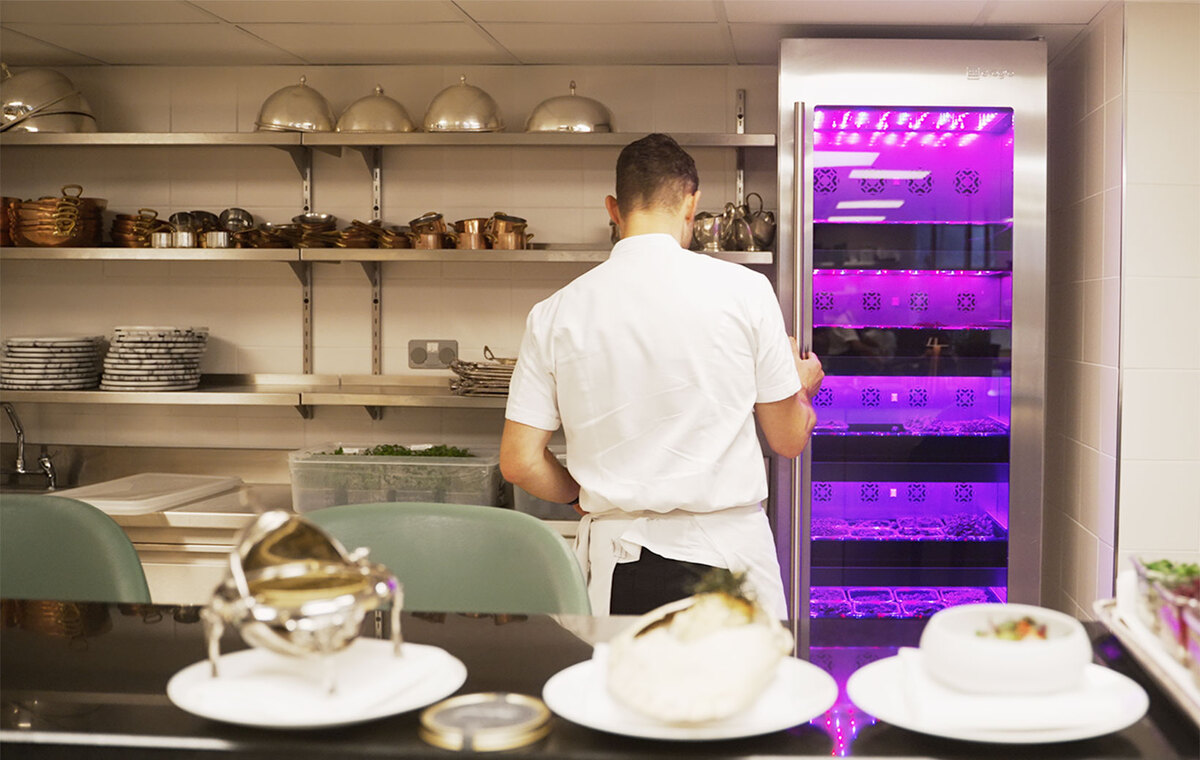 The only way is up: the chefs growing their own with vertical farming ...