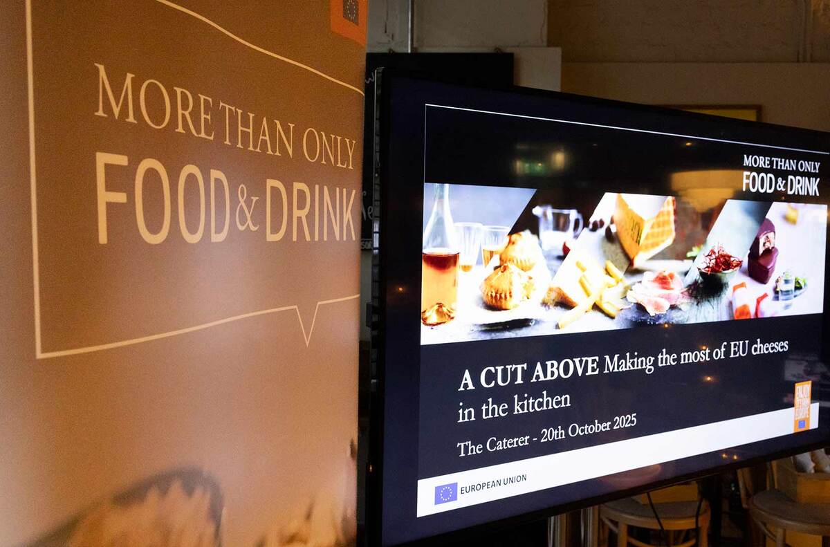 How to create a modern cheese course - InDepth