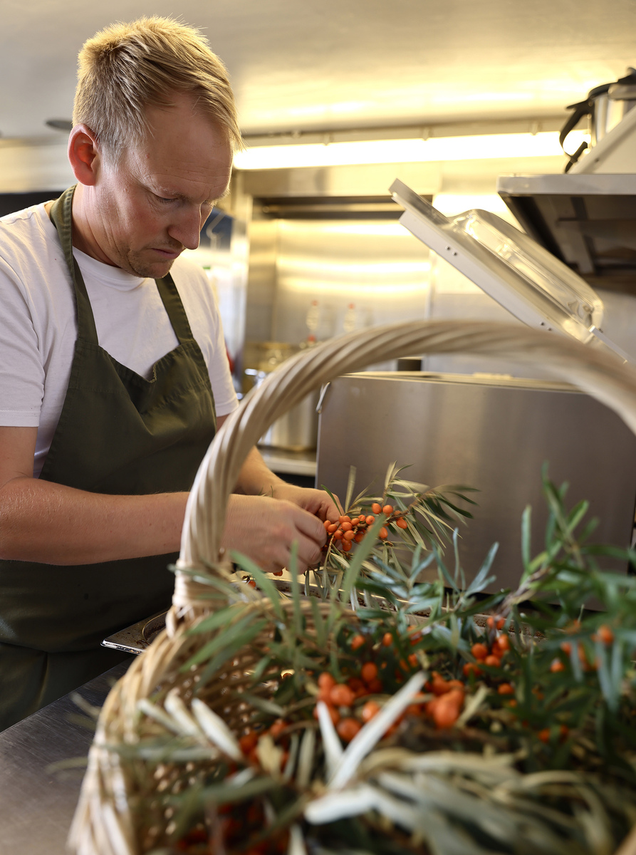 ‘There’s nothing else like it that grows in the UK’: Sea buckthorn, the ...