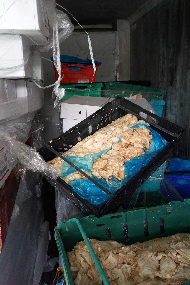Meat supplier fined £500,000 for selling ‘fake’ lamb - Products & equipment